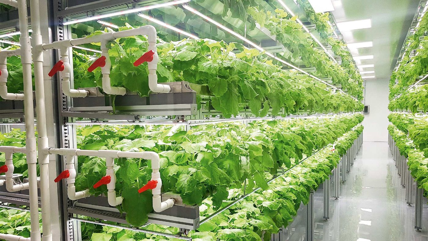 The new generation of vortex sensors - UK Manufacturing